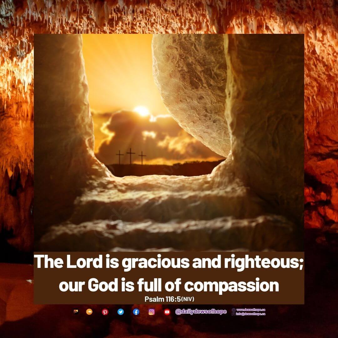 13 August 2025 - Daily Dews of Hope